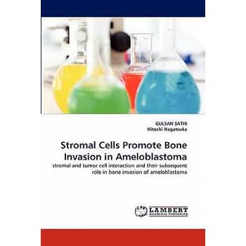 Stromal Cells Promote Bone Invasion in Ameloblas