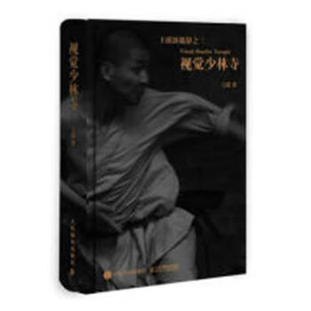 视觉  王瑶  人民邮电出版社  摄影 书籍