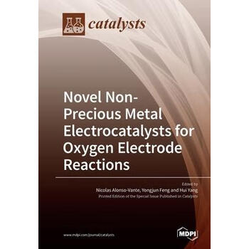 Novel Non-Precious Metal Electrocatalysts for O