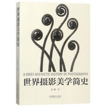 世界摄影美学简史