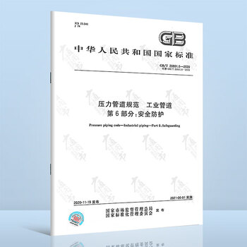GB/T 20801.6-2020压力管道规范 工业管道 第6部分：安全防护
