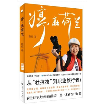正版婷，在荷兰 陈婷著 化学工业出版社书籍