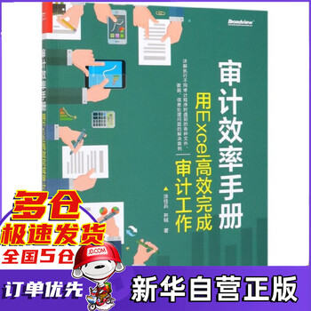 审计效率手册(用Excel高效完成审计工作)