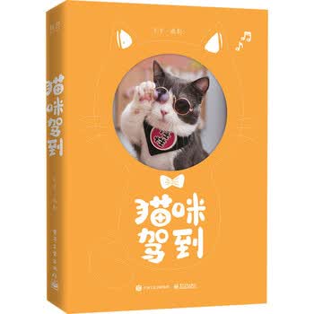 猫咪驾到