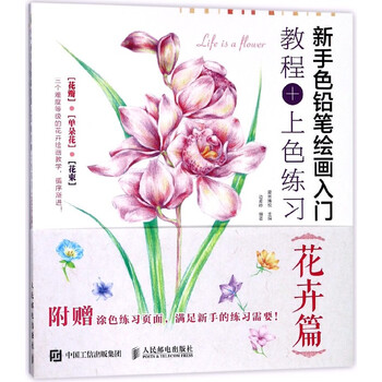 新手色铅笔绘画入门教程+上色练习(花卉篇)