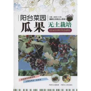 瓜果无土栽培