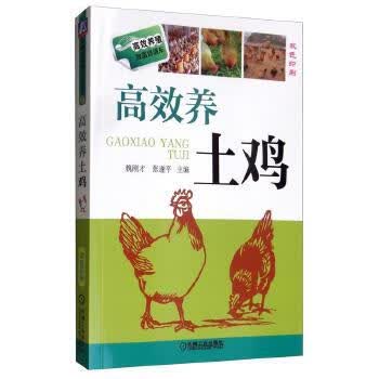 高效养土鸡