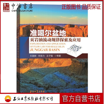 准噶尔盆地页岩油流动规律探索及应用 石油工业出版社 9787518341122