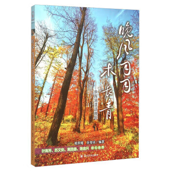 晚风习习木长青:余晖荡漾话晚年