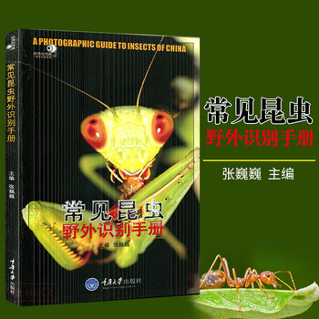 好奇心书系 常见昆虫野外识别手册 昆虫爱好者和从事林业和检疫相关工作读者 户外探险荒野求生昆虫识别书
