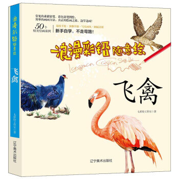 飞禽 浪漫彩铅随意绘