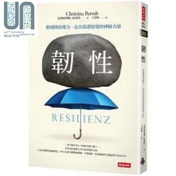 韧性 挺过挫折压力，走出低潮逆境的神秘力量 港台原版 克莉丝蒂娜.伯恩特 时报出版