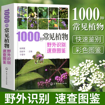 正版书籍1000种常见植物野外识别速查图鉴图解中草药大全家庭书籍野外识别原植物鉴别