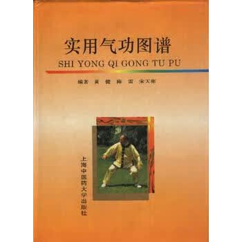 实用气功图谱 精 黄健
