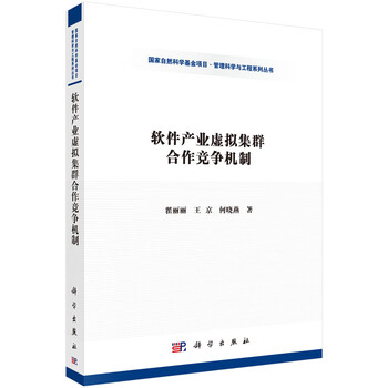 软件产业虚拟集群合作竞争机制