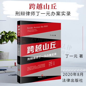 跨越山丘：刑辩律师丁一元办案实录