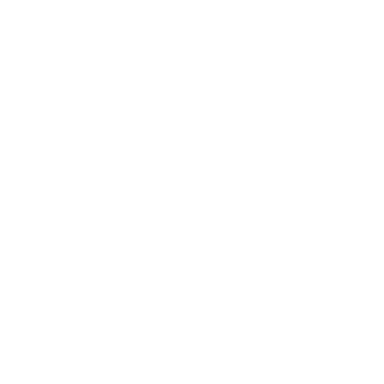 巨人的碰撞:一部全新的苏德战争史