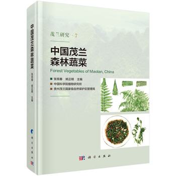 中国茂兰森林蔬菜