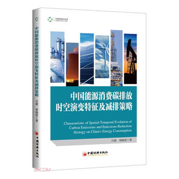 中国能源消费碳排放时空演变特征及减排策略/能源经济系列/中国能源研究文库