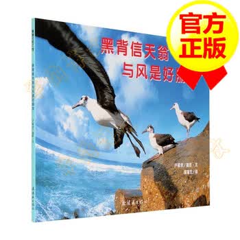 黑背信天翁与风是好朋友