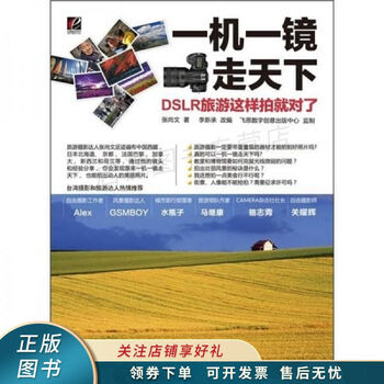 一机一镜走天下：DSLR旅游这样拍就对了 张尚文