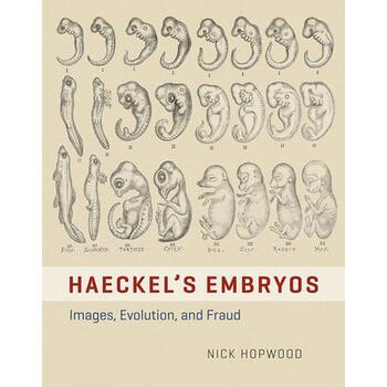 Haeckel's Embryos: Images, Evolution, and Fraud