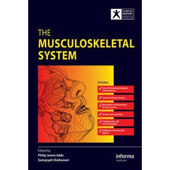 The Musculoskeletal System