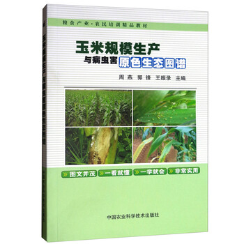 正版书籍 玉米规模生产与病虫害原色生态图谱周燕郭锋王振录著农民培训扶贫产业技能培训基层农业技术者科技示范户种植户参考资料