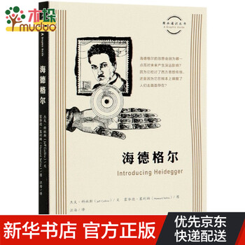 海德格尔/图画通识丛书