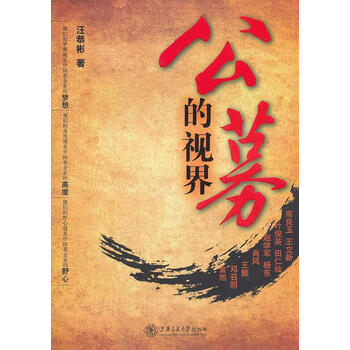 公募的视界【正版图书】