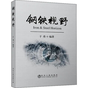 钢铁视野 9787502485764 冶金工业出版社 于勇 著