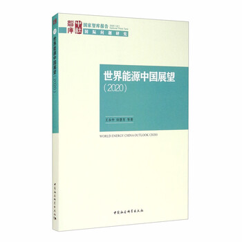 世界能源中国展望（2020）