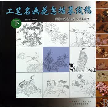工笔名画花鸟描摹线稿(下)