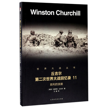 丘吉尔第二次世界大战回忆录(11胜利的浪潮)/世界大战丛书