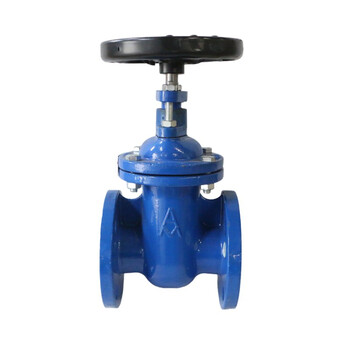 埃美柯铸铁闸阀Z45T-16铸铁法兰暗杆闸阀喷塑消防管道工程水阀高温蒸汽阀门手轮阀硬密封6157 DN100法兰闸阀【图片 价格 品牌 报价】-京东