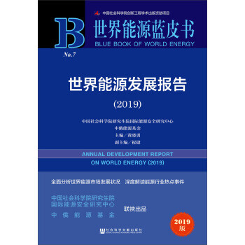 世界能源发展报告:2019:2019