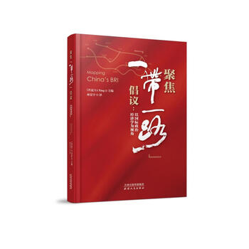 聚焦倡议：以国际政治经济学为视角    天津人民出版社  政治/军事 书籍