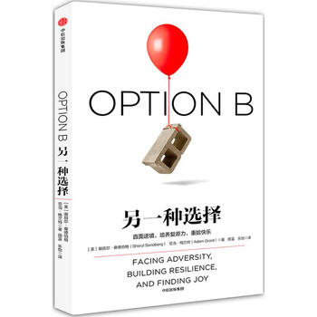 另一种选择