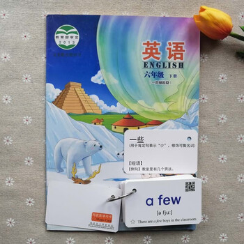 【老师推荐】2020年新版北京版小学英语单词卡片自然拼读双色音标携带英语卡片 六年级下册（70张卡片）