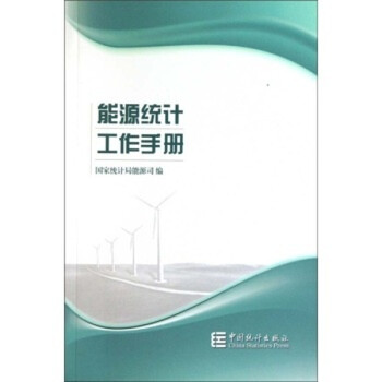 能源统计工作手册 中国统计出版社