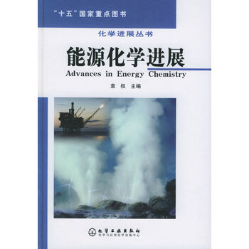 能源化学进展 袁权 主编