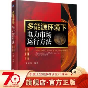 多能源环境下电力市场运行方法 朱继忠 电价电能源市场可再生能源多能源消纳需求侧响应英国德国美国北欧