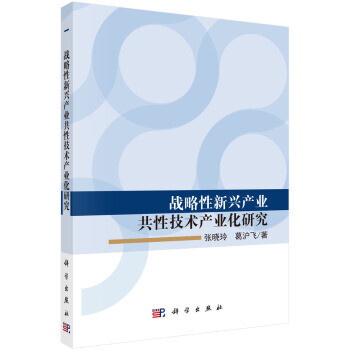 战略性新兴产业共性技术产业化研究