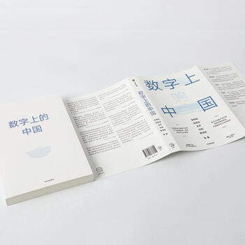 数字上的中国 图书