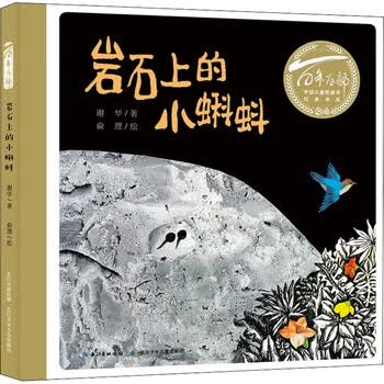 岩石上的小蝌蚪