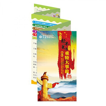 2021安全月折页 坚持标本兼治建设推动安全生产发展  50份.
