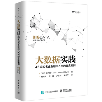 [正版图书]大数据实践：45家知名企业超凡入圣的真实案例