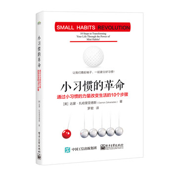 小习惯的革命9787121393600电子工业