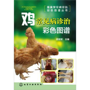 正版畜禽常见病诊治彩色图谱丛书--鸡常见病诊治彩色图谱 武现军 编 化学工业出版社