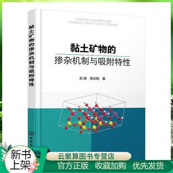 2020新书 黏土矿物的掺杂机制与吸附特性 数值模拟理论分析研究方法书籍 高岭石蒙脱石晶体结构黏土矿
